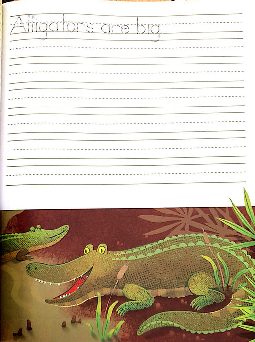 Print Writing: A Creepy-Crawly Alphabet — Wiz Kids