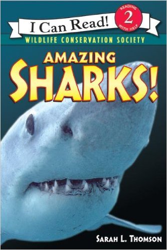 ICR 2 - Amazing Sharks! — Wiz Kids